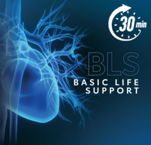 Cprvam.com: AHA RQI CPR, BLS, ACLS, & PALS Certification Courses in ...